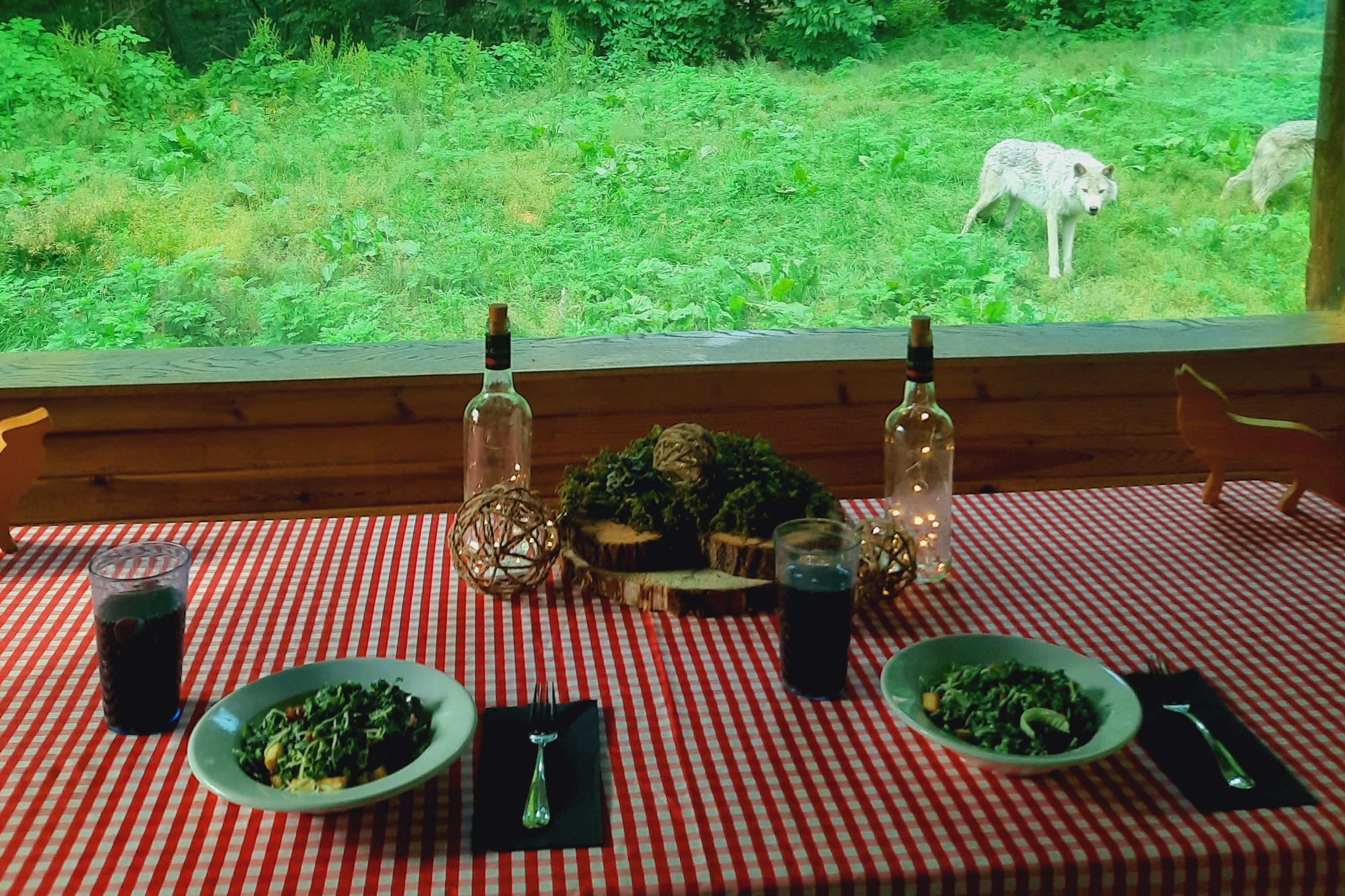 Dinner With Wolves - Yours Outdoors